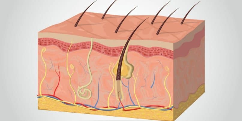 What Is A Facial Collagen Injection? - Woman and Wellness